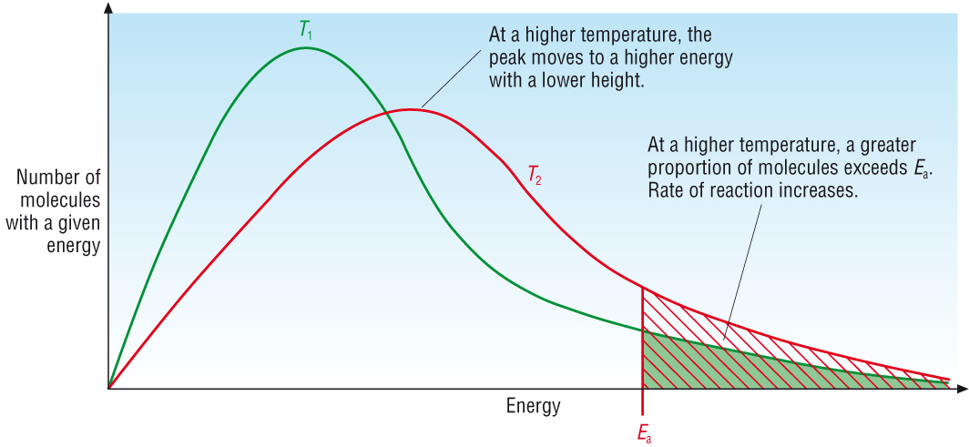 The Effect Of Temperature On The Rate Www informationsecuritysummit